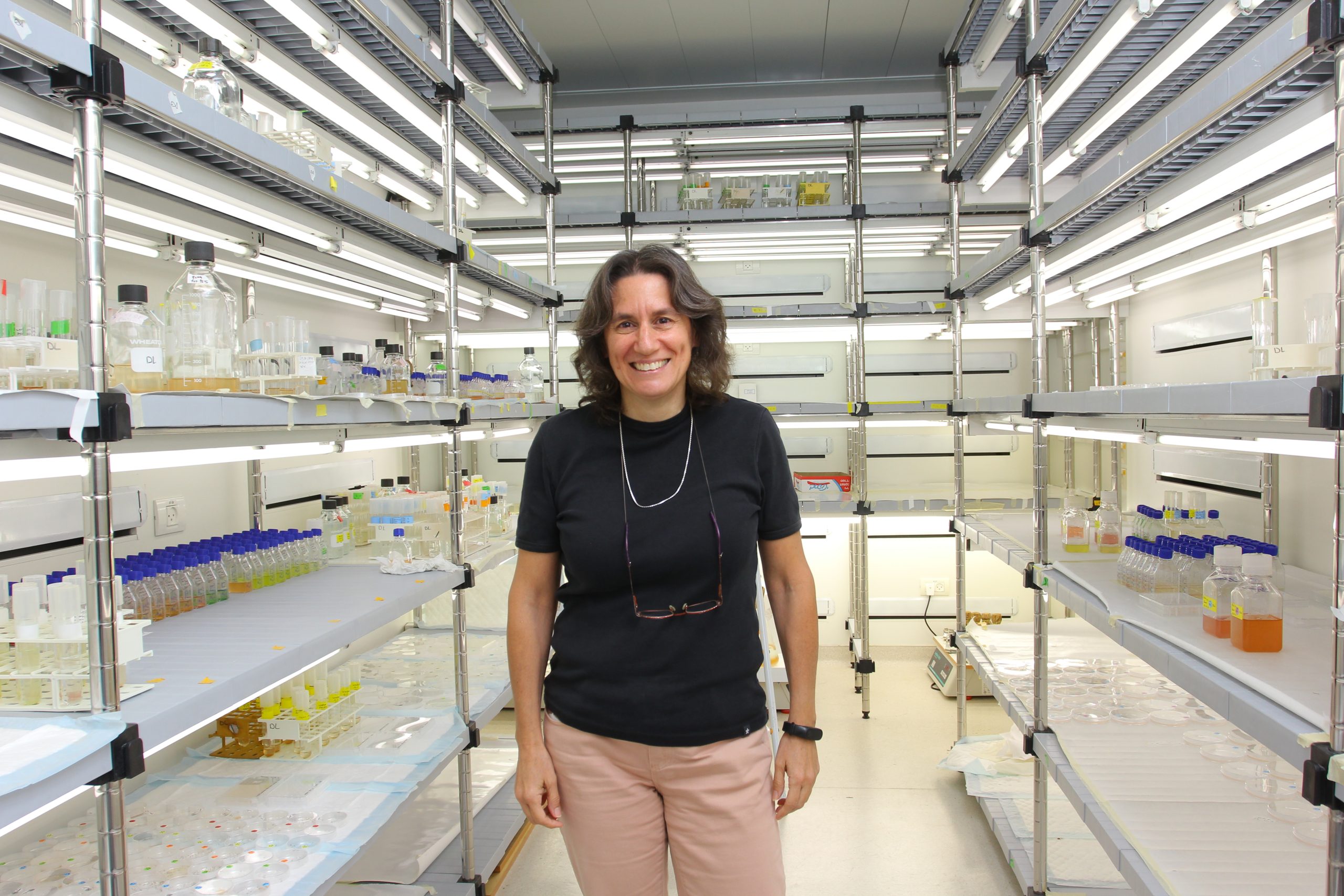 Protection Against Viruses – The Passive Version - הטכניון-מכון ...